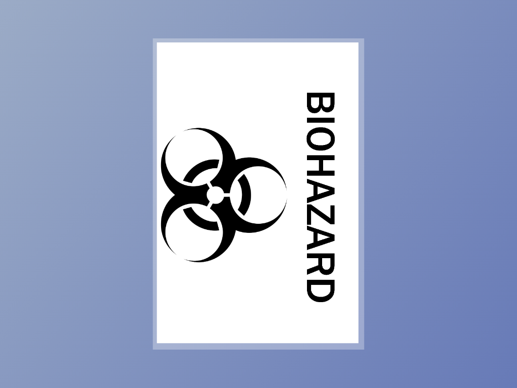 Biohazard 4 x 6
